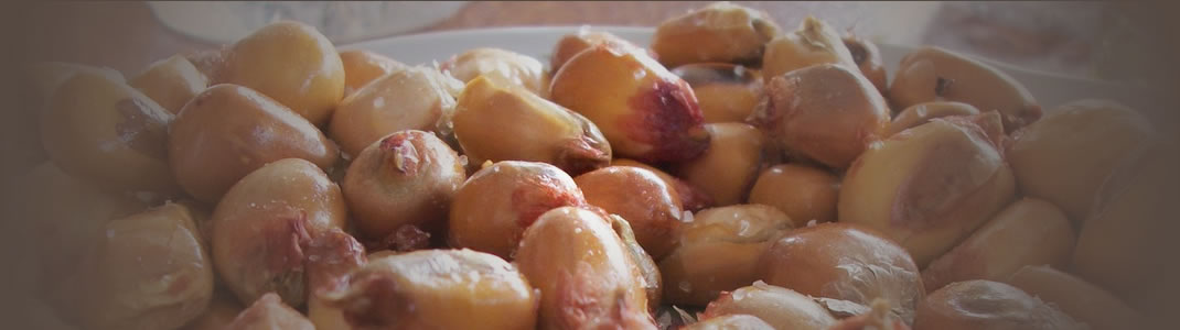 CHAVIN Restaurant & Bistro: Authentic Peruvian Food